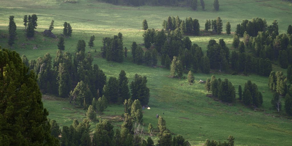 5 документальных книг, которые вдохновят на путешествие по России ...